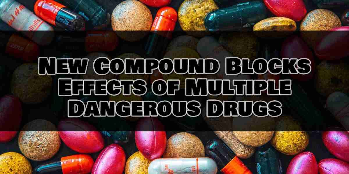 Experimental Compound Shown to Block Effects of both Opioid and Non ...